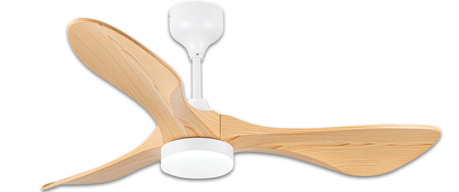 Fans - Rezo